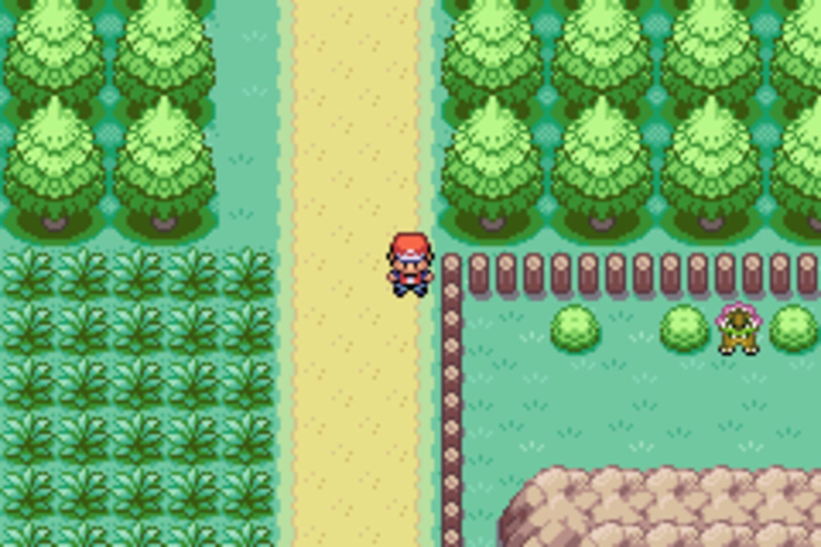 Pokémon: Ultra Violet Version | Soren
